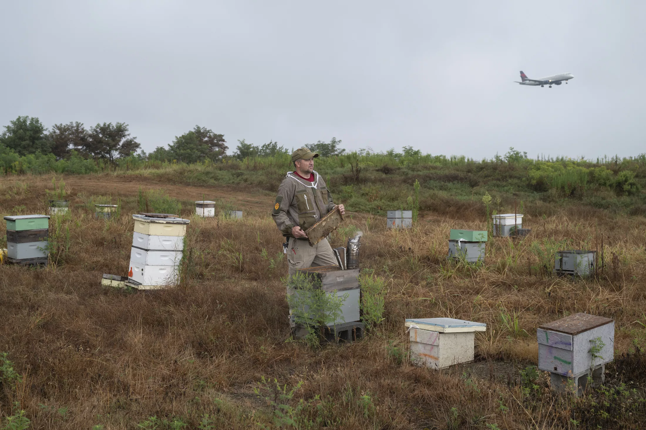 Pittsburgh International Airport is now home to honeybee hives